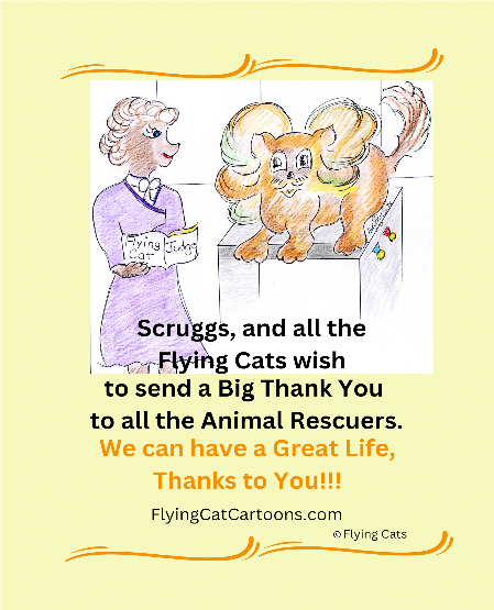 Flying Cat Cartoons